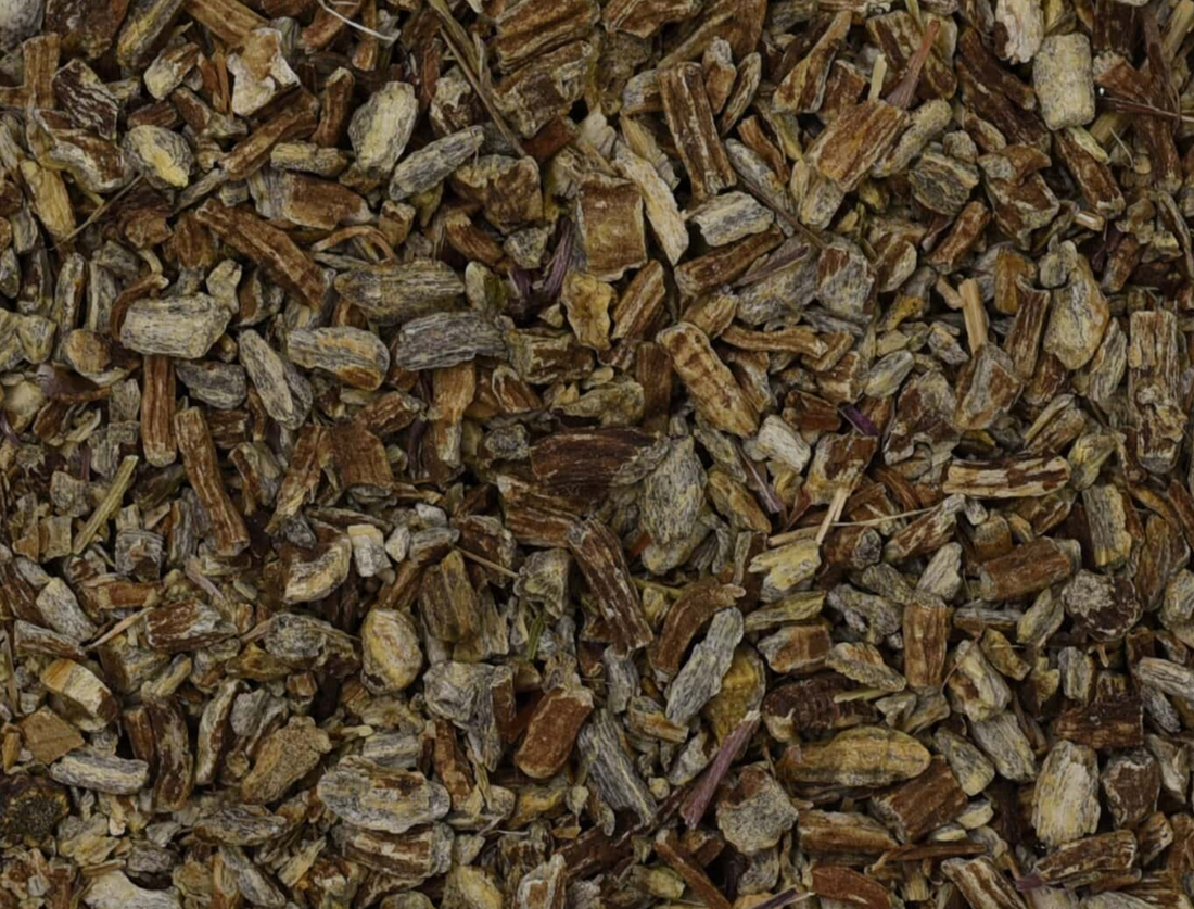 Echinacea Root (Organic) - Free Shipping – Zhi Herbals